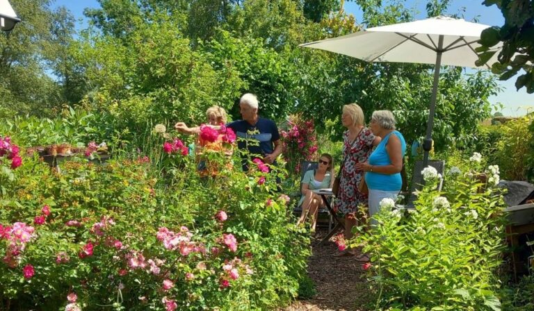 Opentuinendag Westzaan 2025 - Waarheen